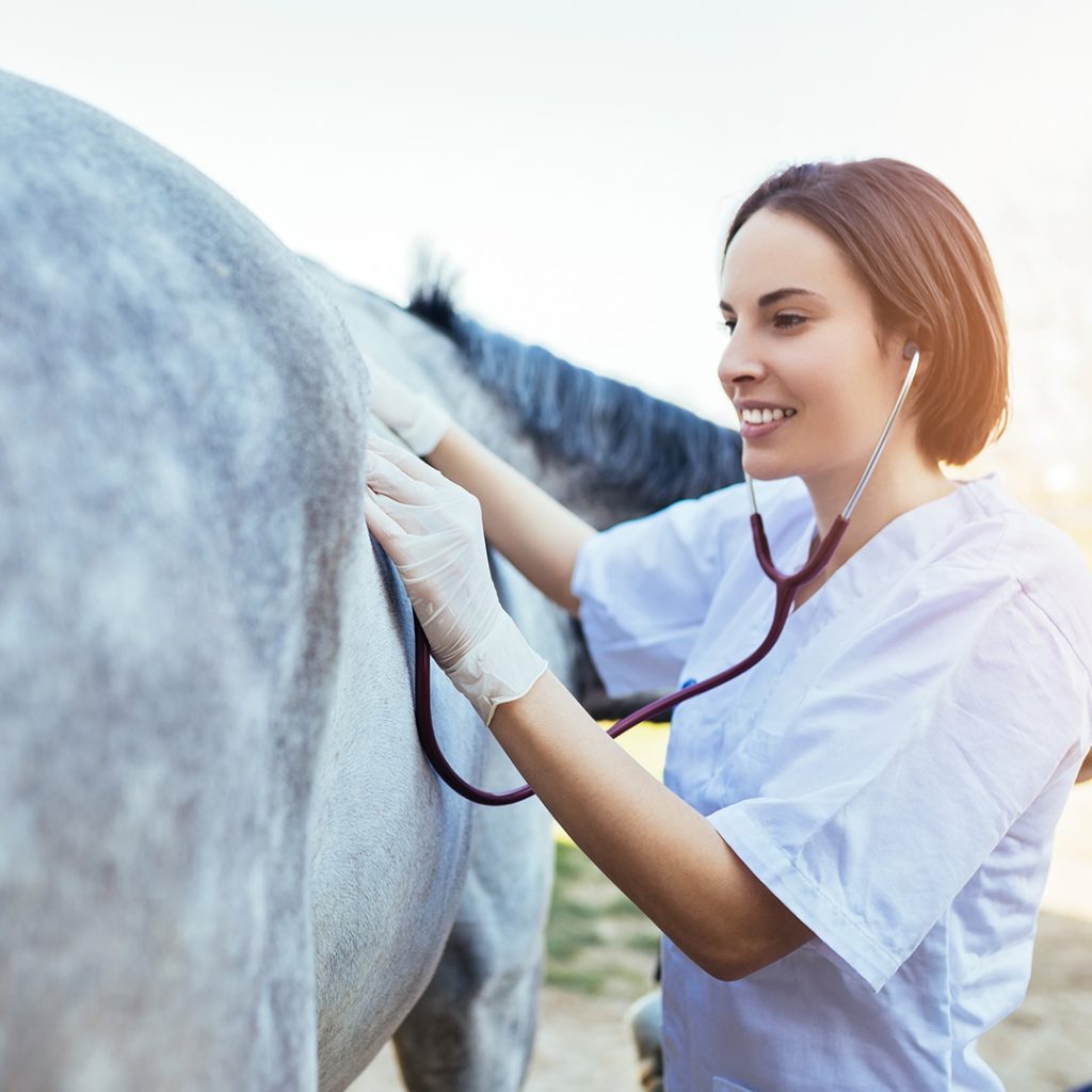 (P1) Fee Analysis - WTA Veterinary Consultants